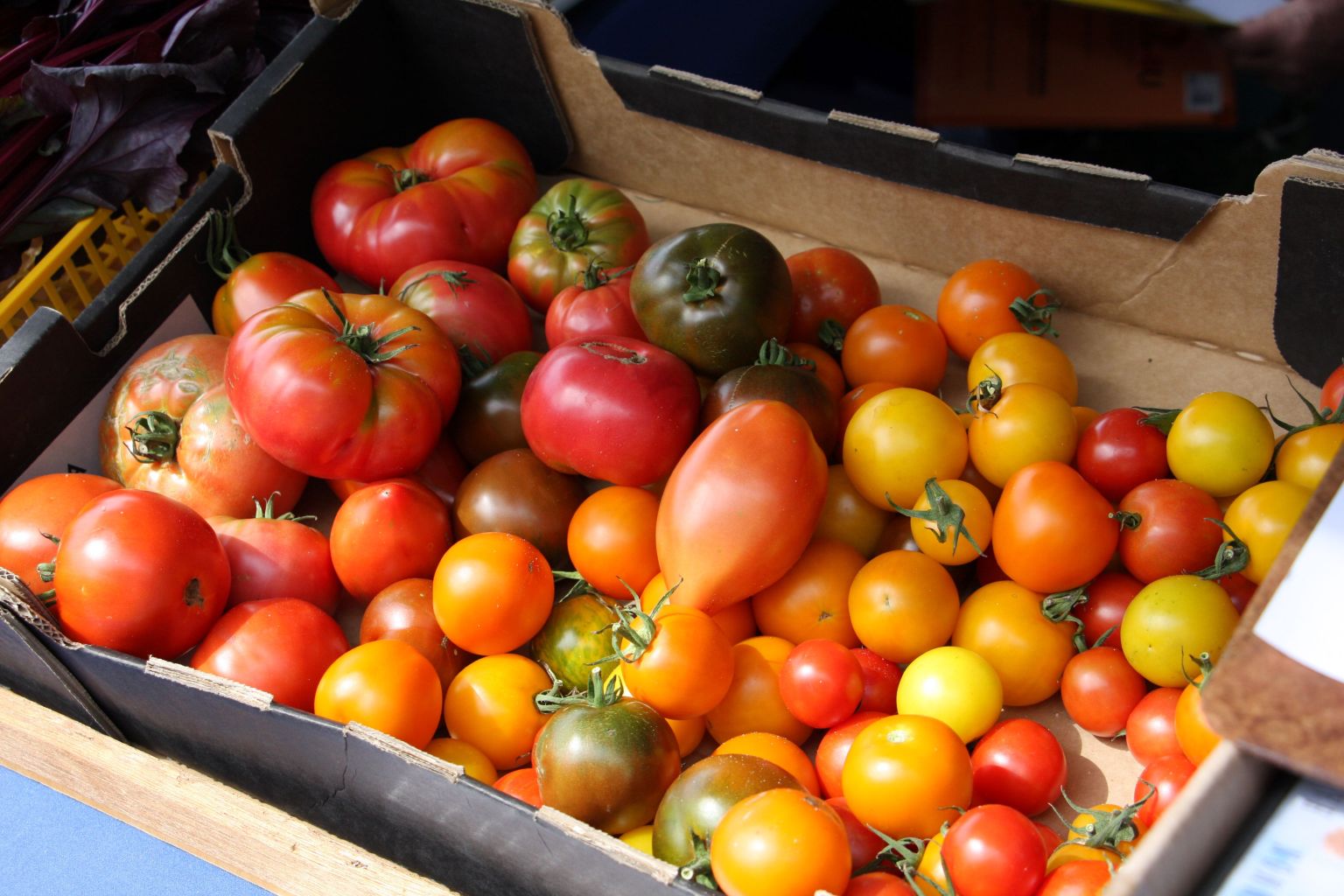 A sojourn to the country for the Murrumbateman Markets