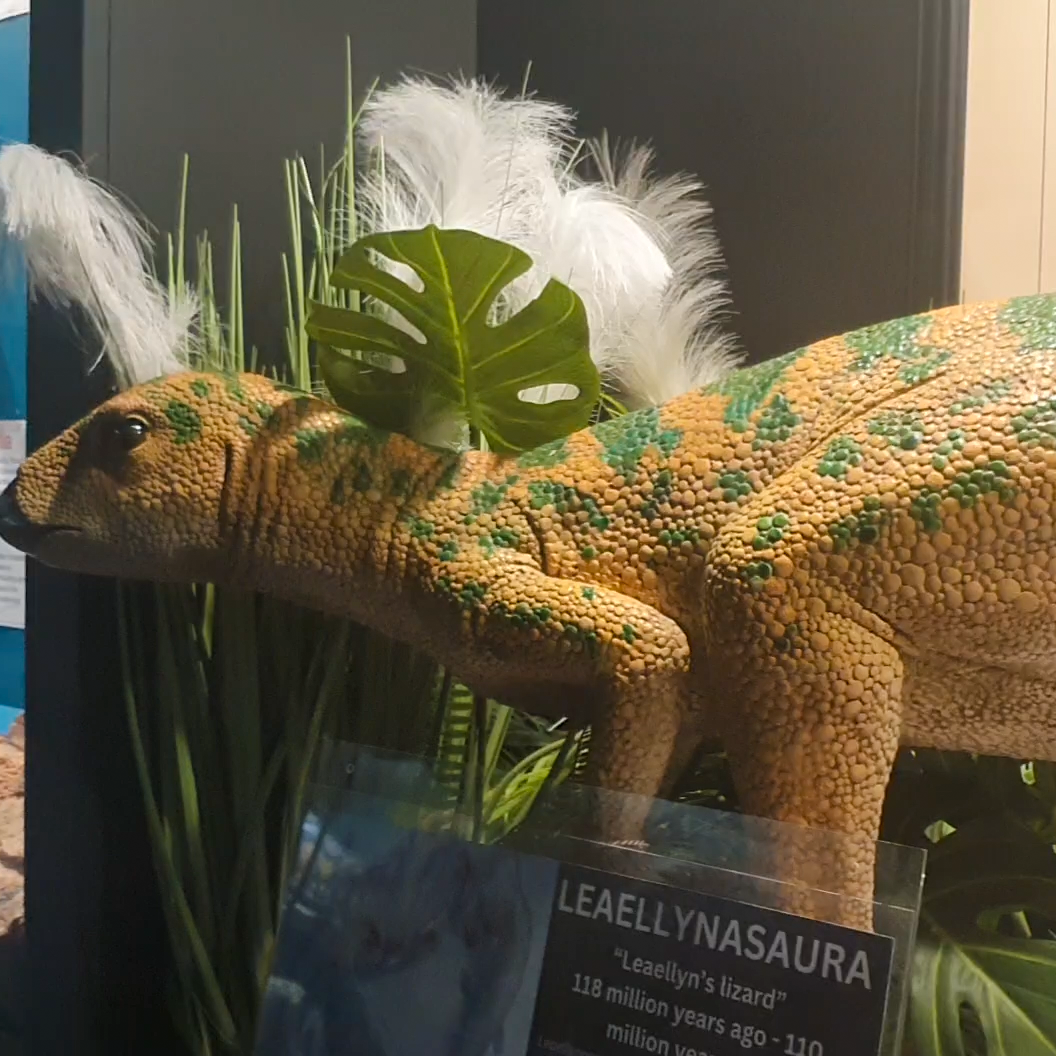Looking back on Australia's unique history with dinosaurs - The Owl